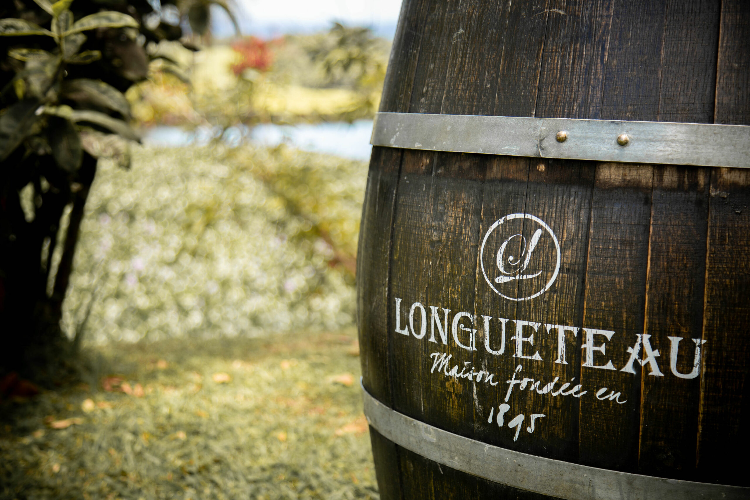 Crème de Rhum « Original Cream » | La Maison de l'Hédonisme